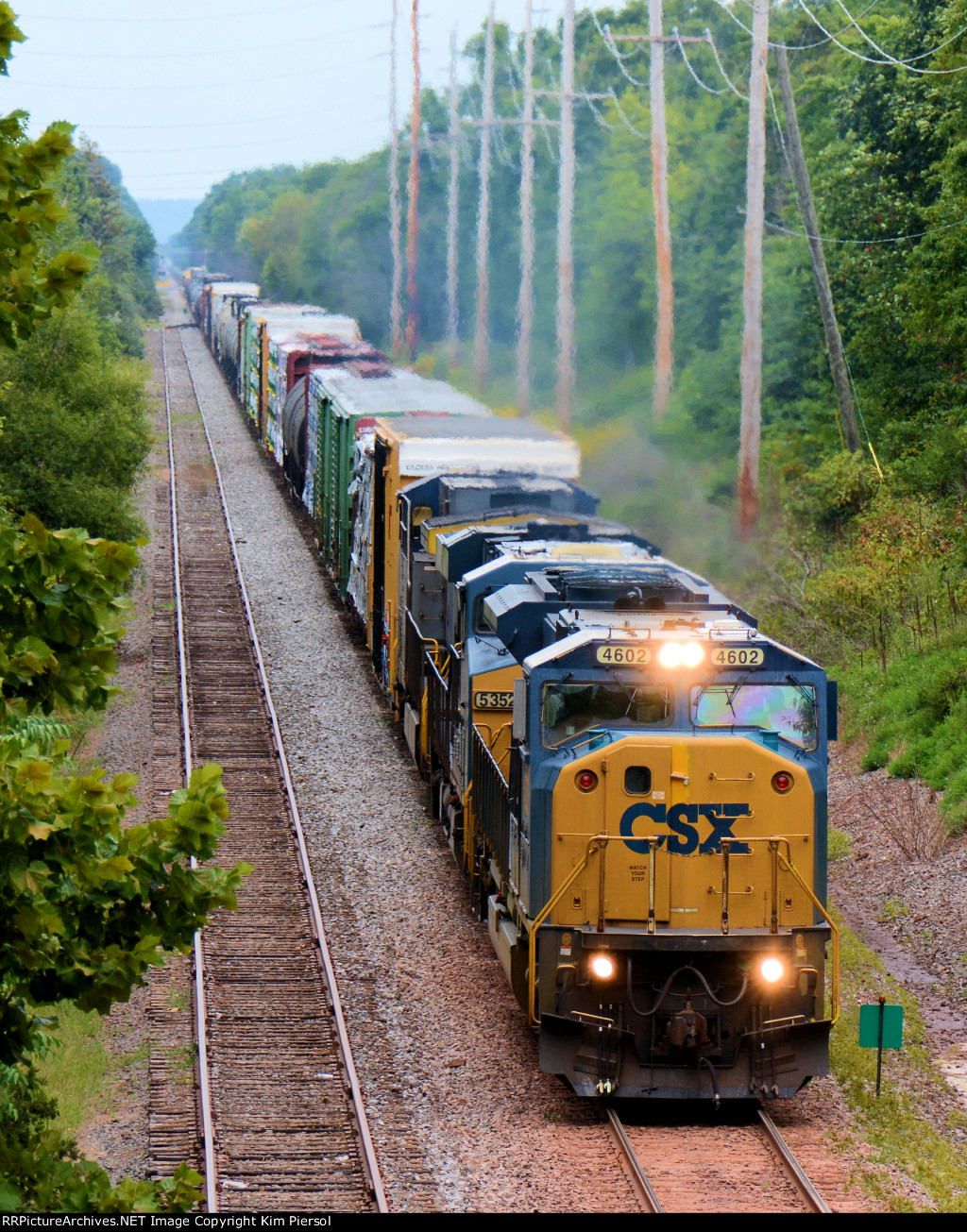 CSX 4602 Q417